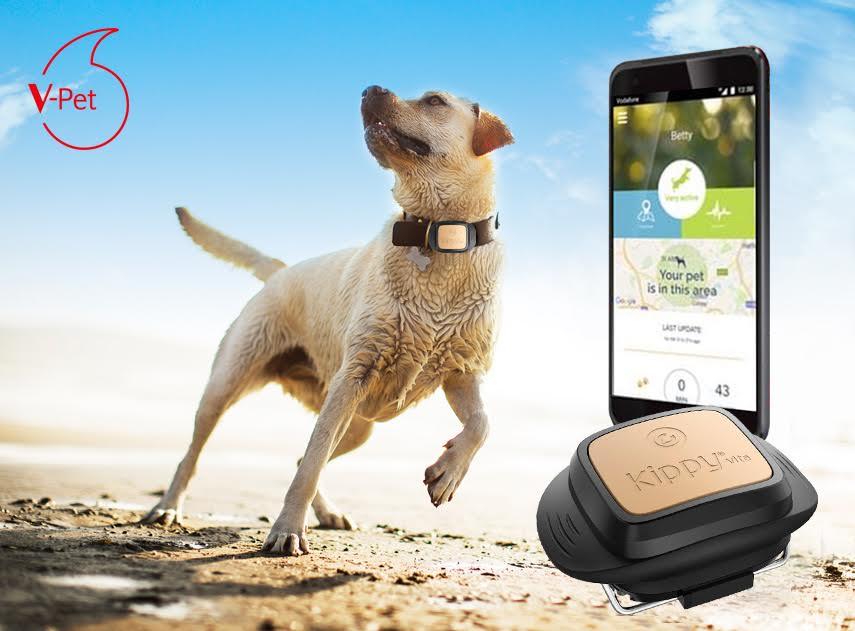 Conoce el V-Pet: el dispositivo que te dice dónde y cómo está tu mascota