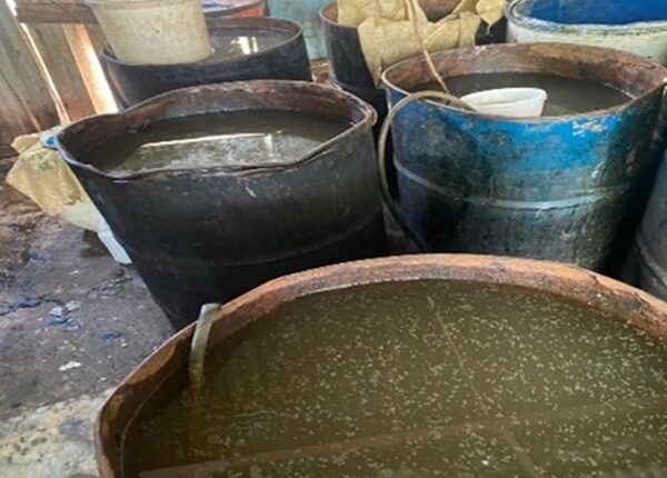 Decomisan en La Romana 55 galones de clerén, triculí y pitrinchi