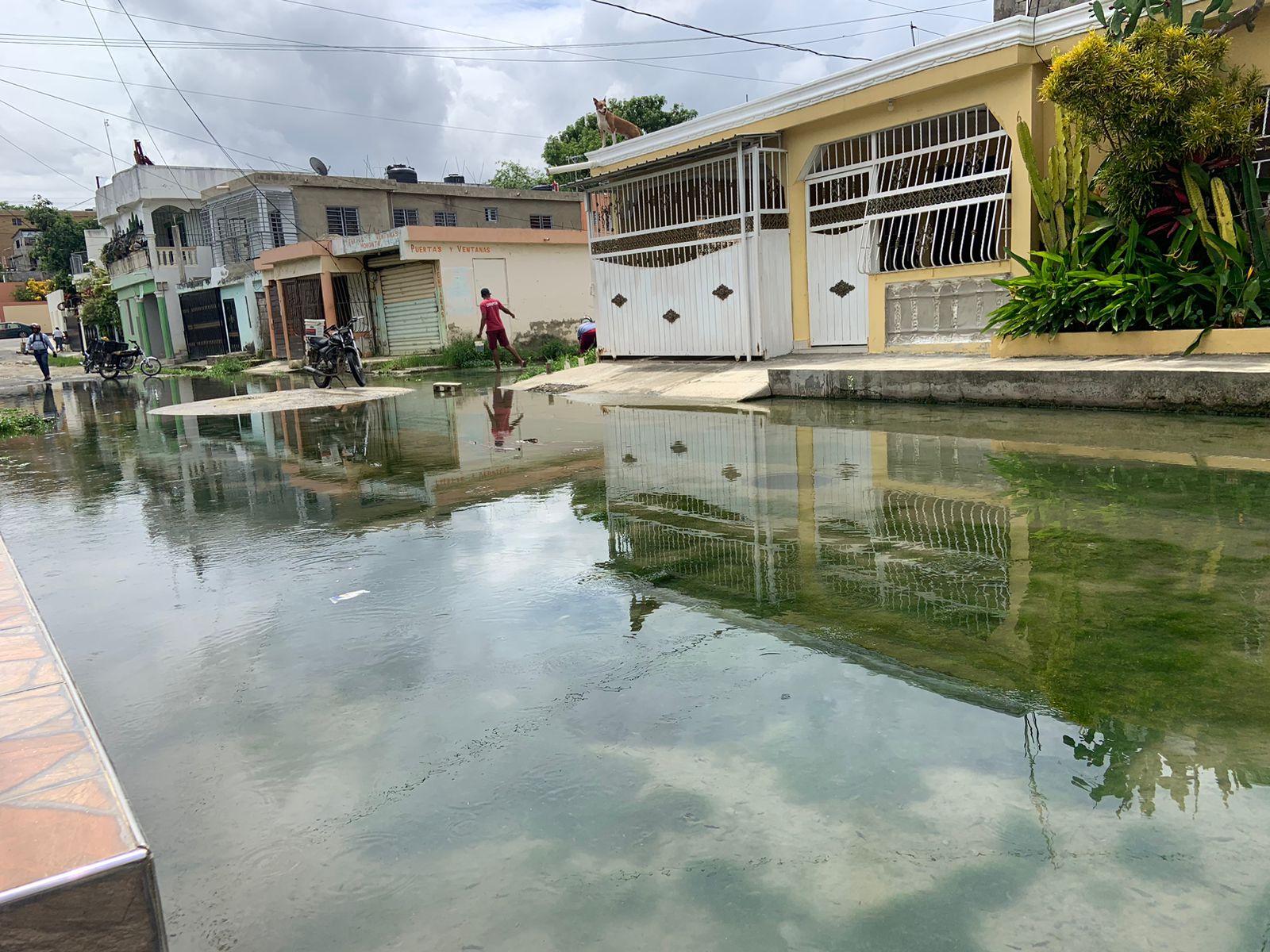 Desde el 4 de noviembre aguas contaminadas inundan calle 6 de Arroyo ...