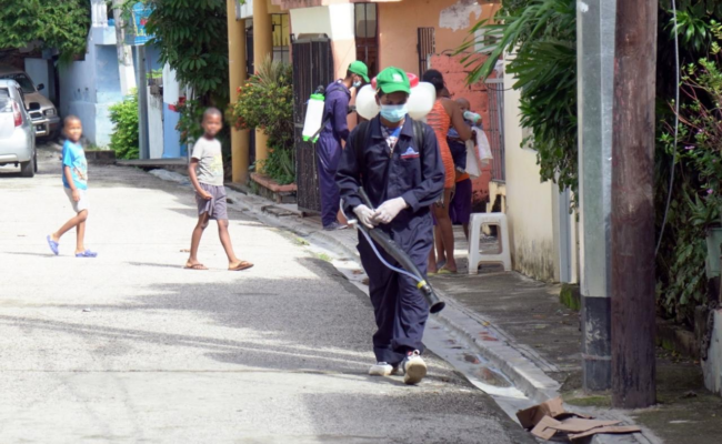 entelevision :: DGDC combate dengue fumigando cerca de 2 mil viviendas ...
