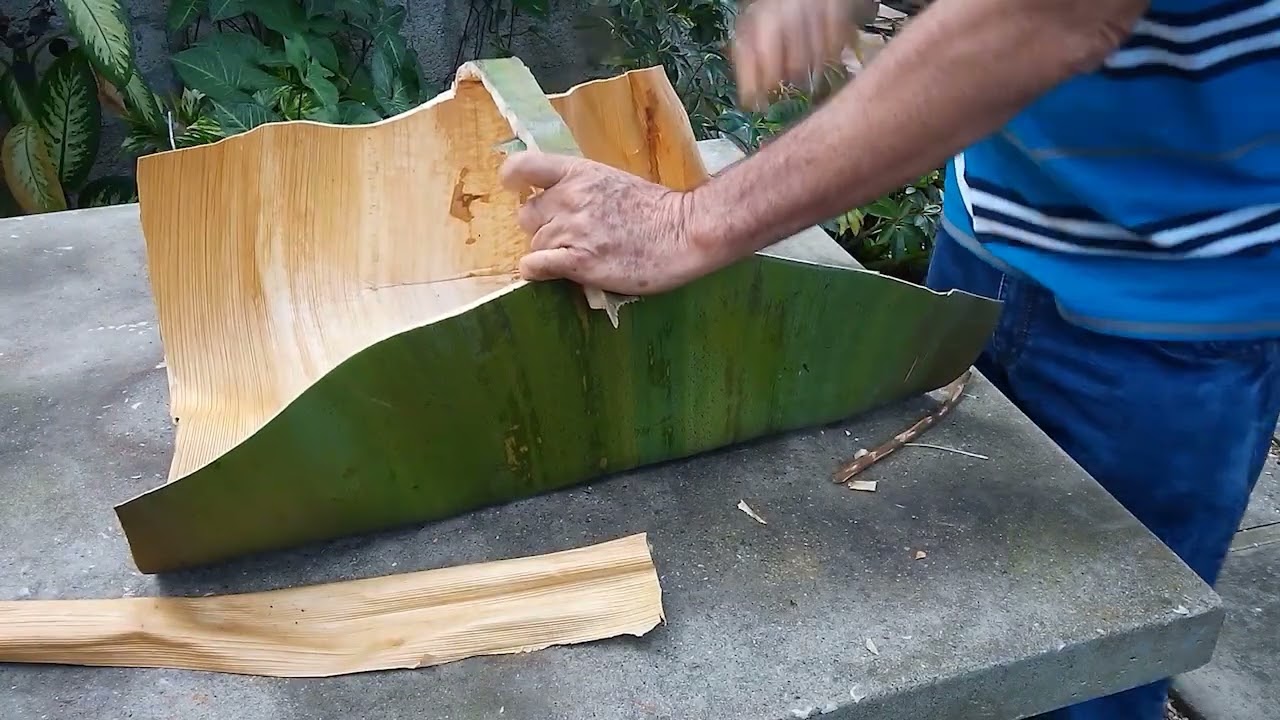 Jaime David propone en reforma constitucional la yagua sea declarada ...