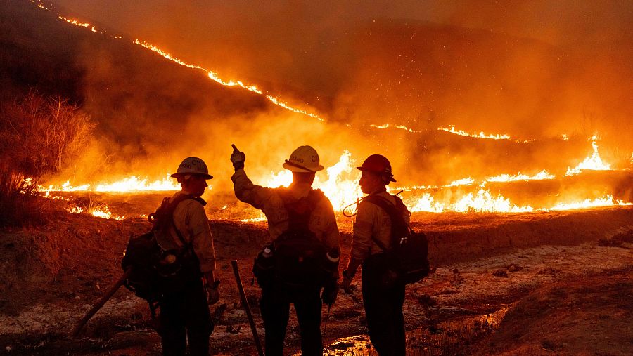 Aumentan a 24 muertos por los incendios forestales en Los Angeles, Estados Unidos